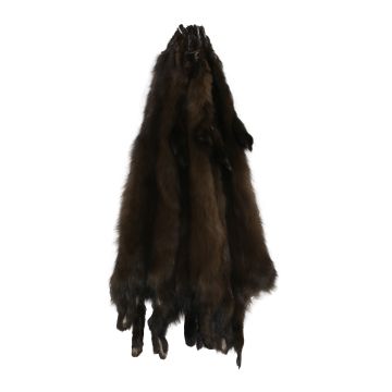 Glacier Wear - Sable/Pine Martin Pelts For Sale