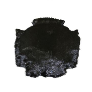 Glacier Wear - Beaver Pelts For Sale