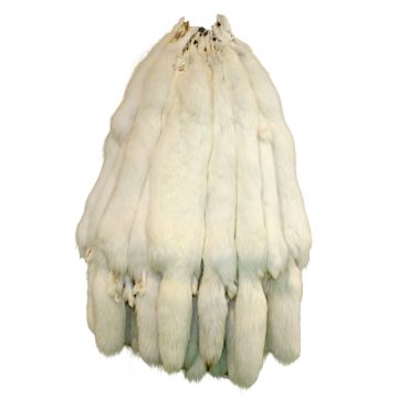 Glacier Wear - Fox Pelts For Sale