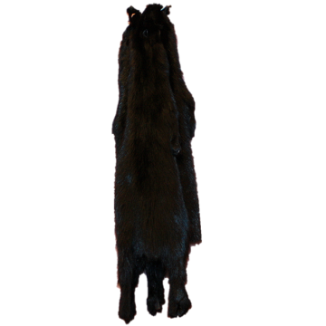 Glacier Wear - Sable/Pine Martin Pelts For Sale