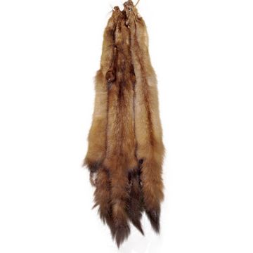 Glacier Wear - Sable/Pine Martin Pelts For Sale