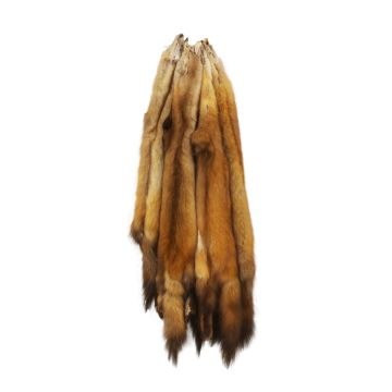 Glacier Wear - Sable/Pine Martin Pelts For Sale
