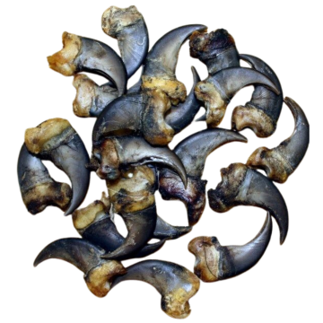 Glacier Wear - Craft Fur, Animal Claws, Fur Tails, Animal Skulls ...