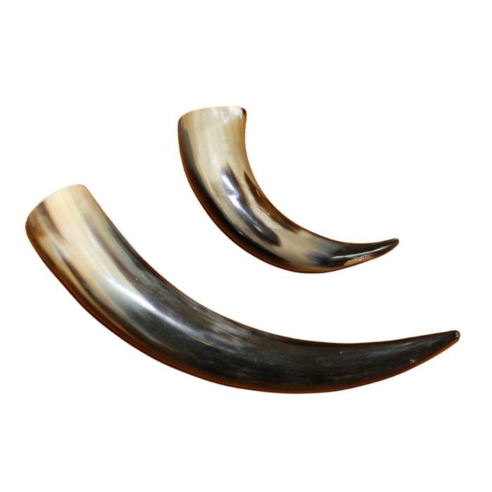 Glacier Wear - Polished Buffalo Horn Caps For Sale
