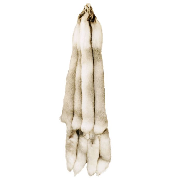 Glacier Wear - SAGA Blue Frost Fox Pelts For Sale