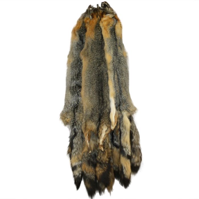 Glacier Wear - Select Eastern Gray Fox Pelts For Sale