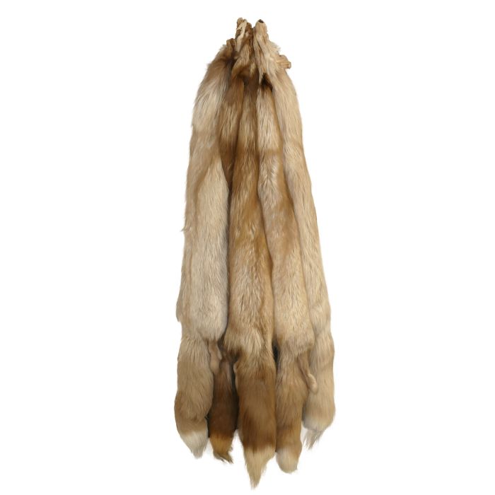 Glacier Wear - SAGA Snow Glow Fox Pelts For Sale