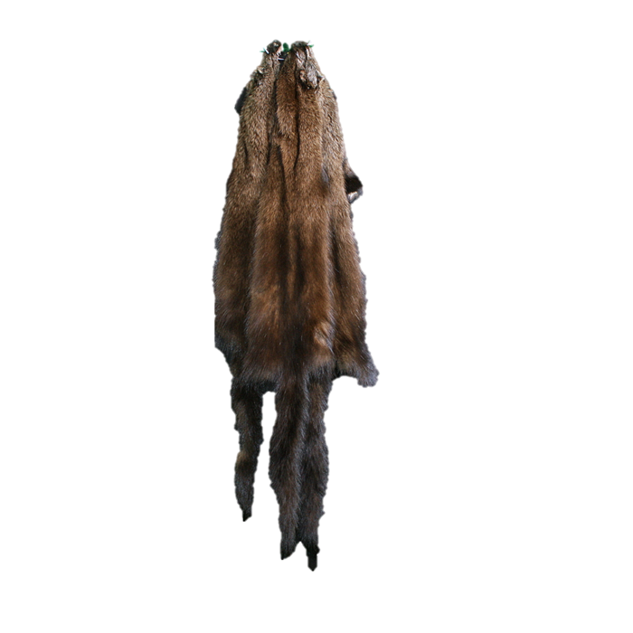 Glacier Wear - Fisher Pelts For Sale