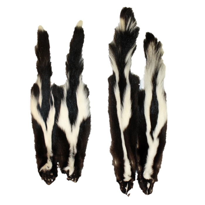 Glacier Wear - Skunk Pelts For Sale