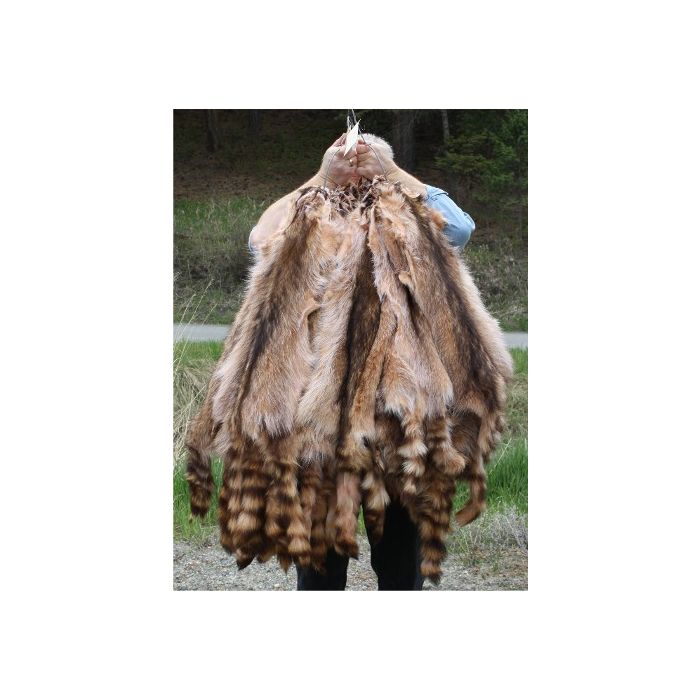 Glacier Wear - Sunset Raccoon Pelts For Sale