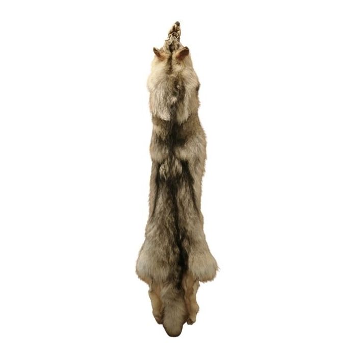 Glacier Wear - Wolf Fur Pelt for sale