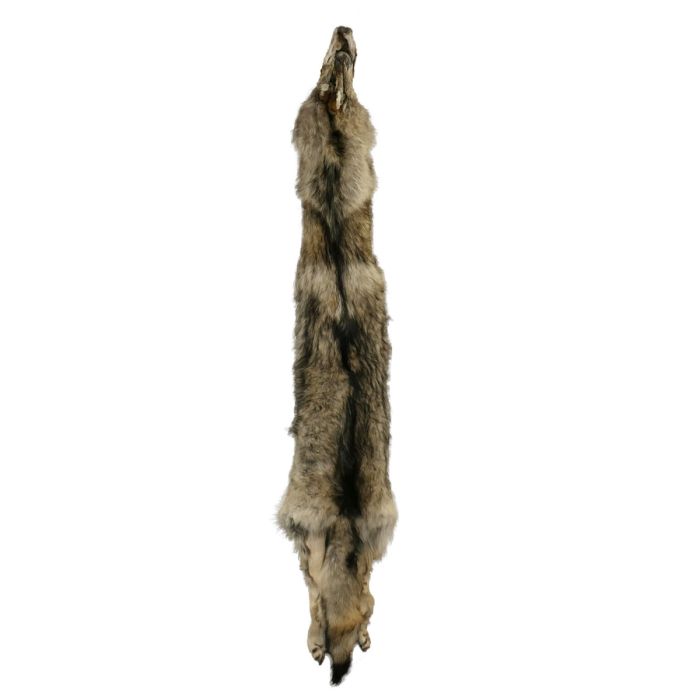 Glacier Wear - Wolf Fur Pelt #44442 for Sale